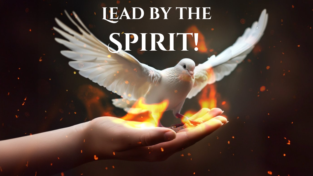 Upcoming Workshop - Spirit Life Work Shops